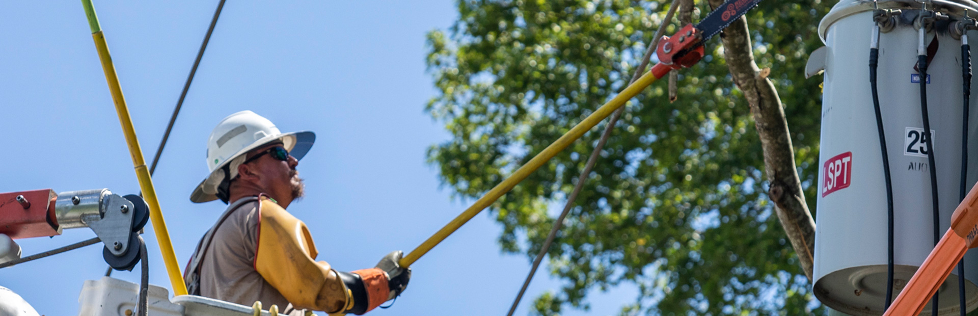 SC Tree Trimming and Powerlines | Dominion Energy SC Tree Trimming and Powerlines | Dominion Energy